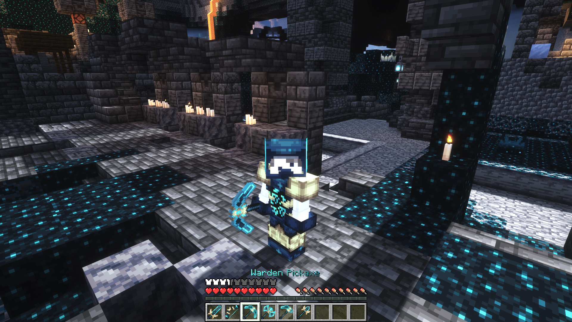 Warden Set | Chunkfactory